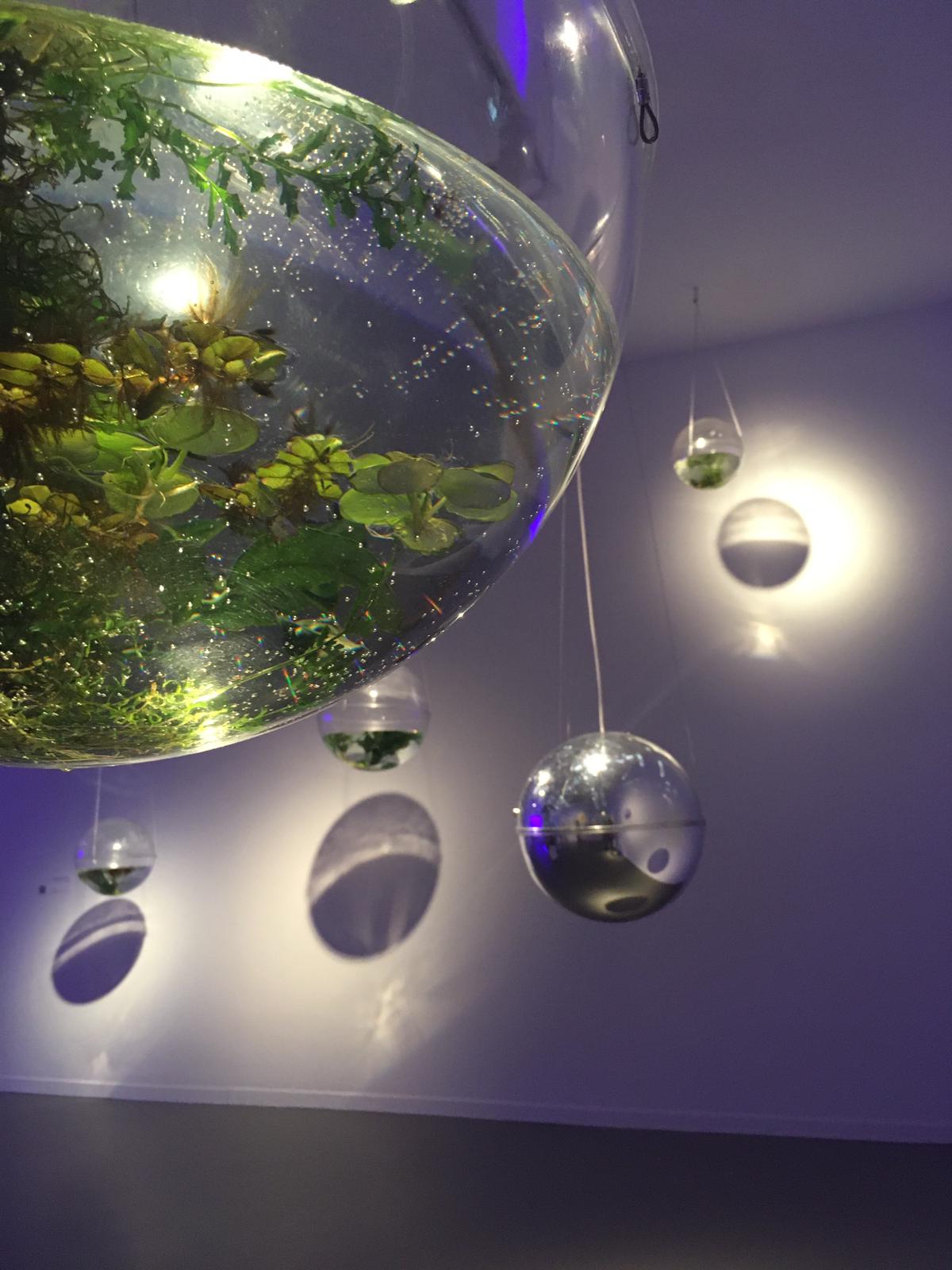 Biosphere Project in Madrid, Spain | Joaquin Fargas